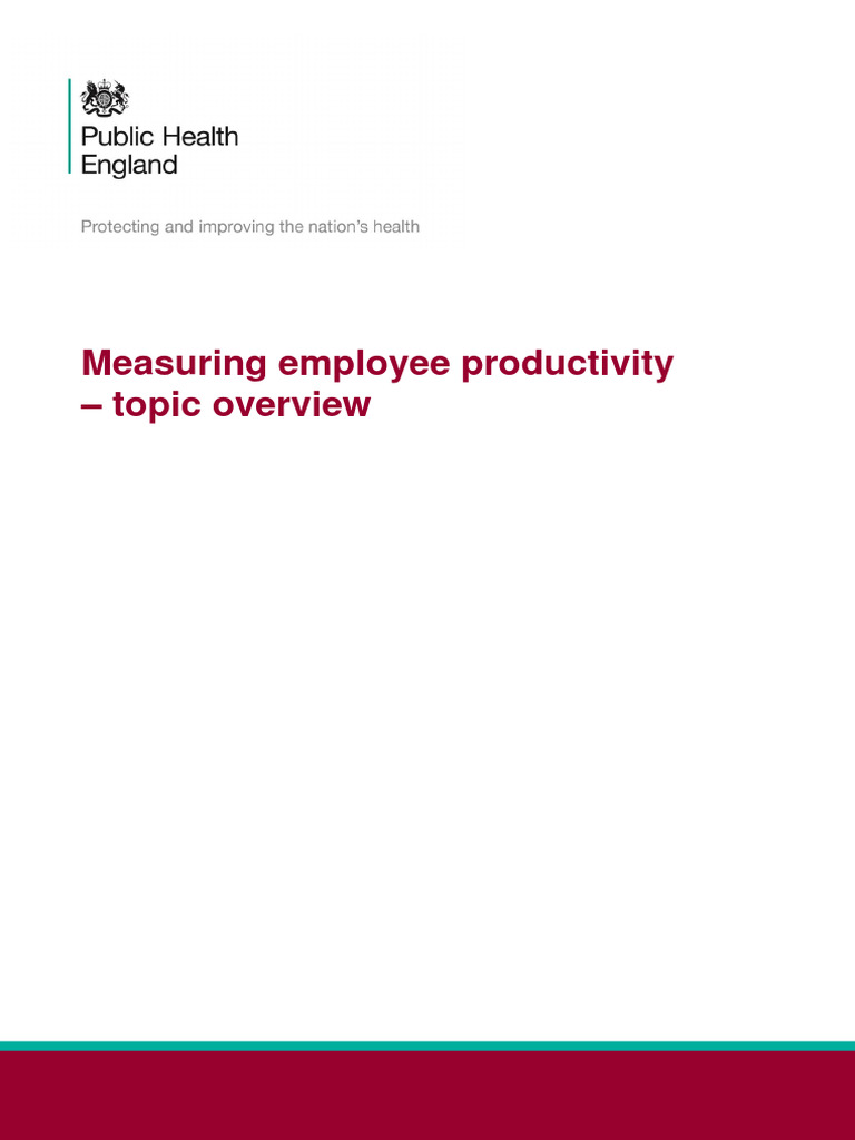 Productivity - V3.0 FINAL | PDF | Employment | Goal