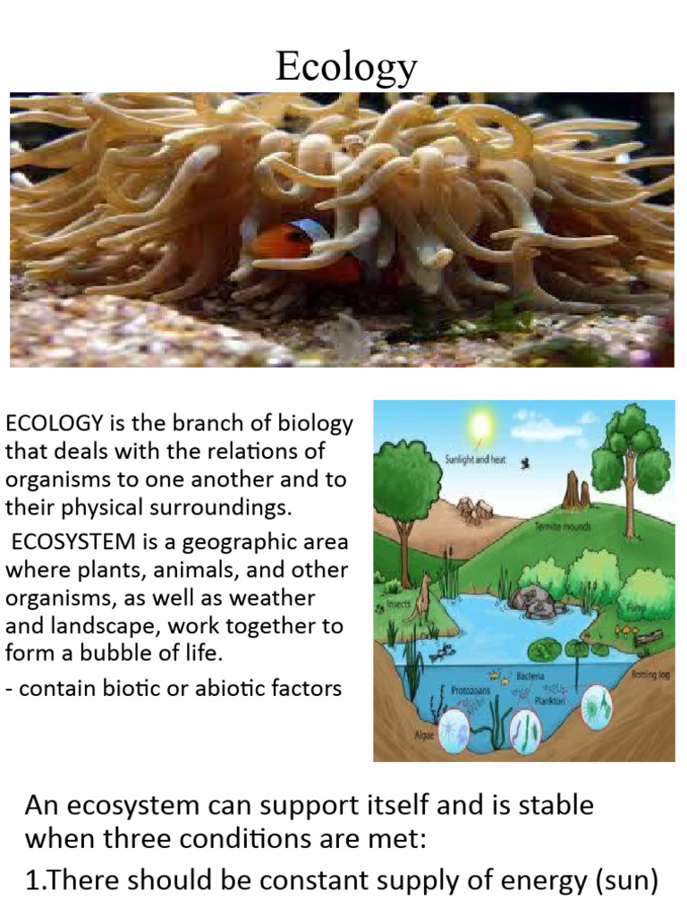 Interaction and Interdependence | PDF | Marsh | Estuary