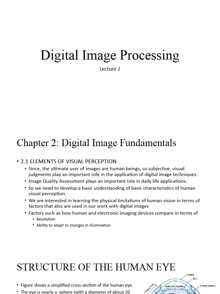 Lecture 2 Week 2 3 04032023 062027pm Pdf Image Resolution Eye 