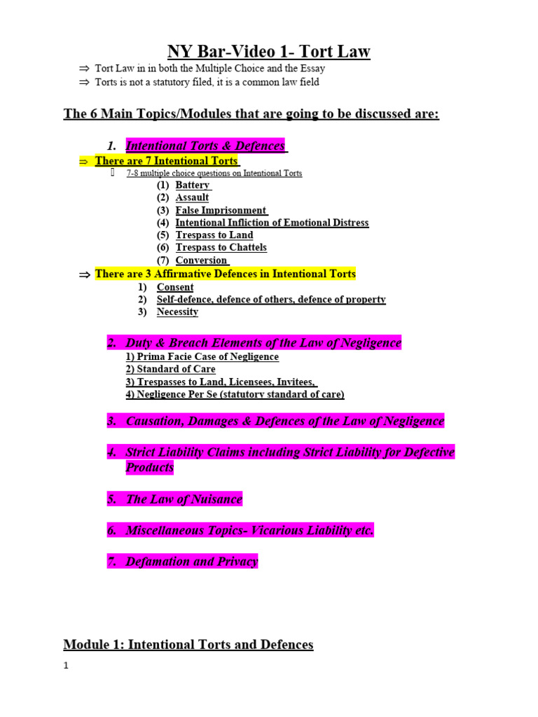 Tort Video 1 NY Bar | PDF | Trespass | Conversion (Law)