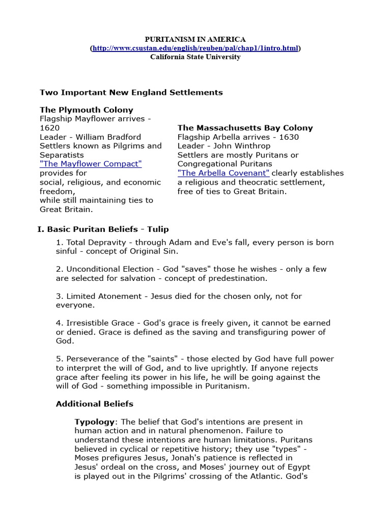 Puritanism US Literature | PDF | Puritans | Plymouth Colony
