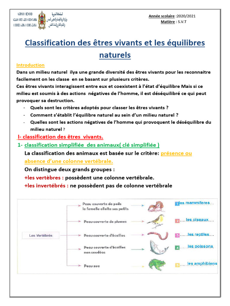Classification Des Etres Vivants Et Les Equilibres | PDF | Plantes | Maïs