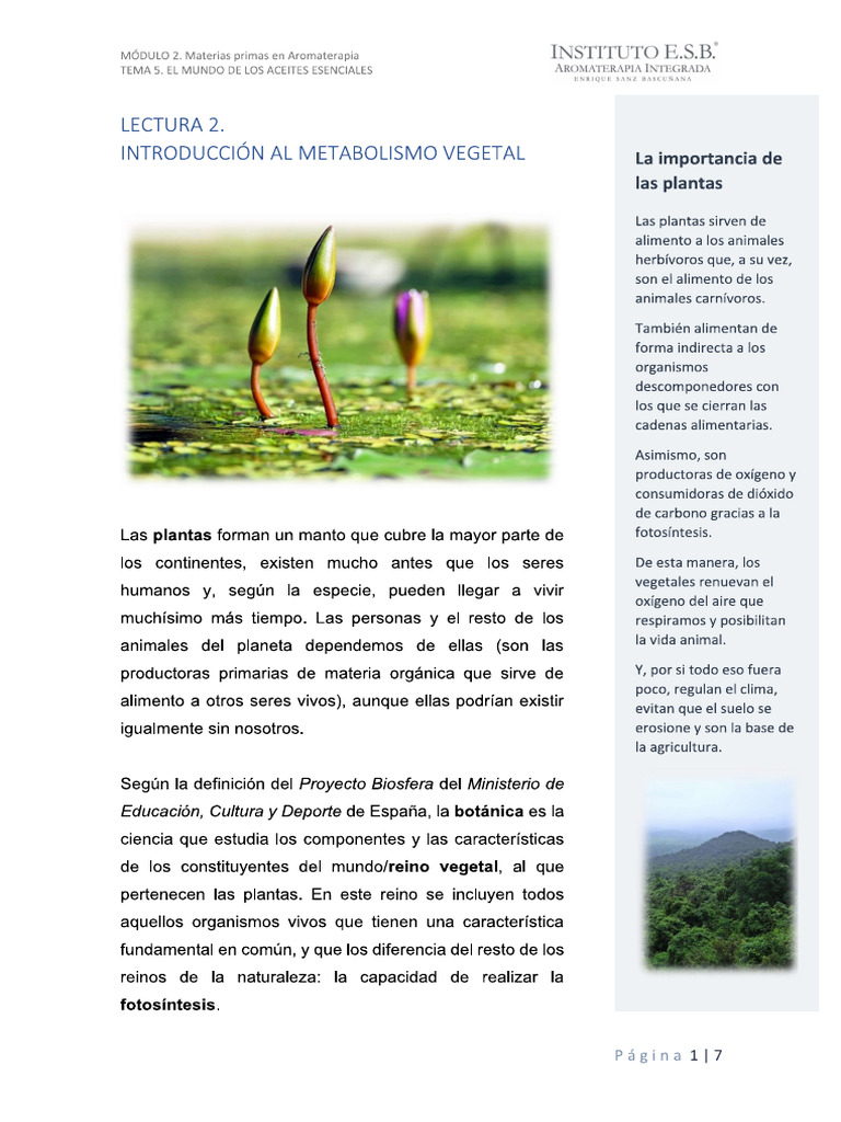 Introducción Al Metabolismo Vegetal | PDF Introducción Al Metabolismo Vegetal | PDF
