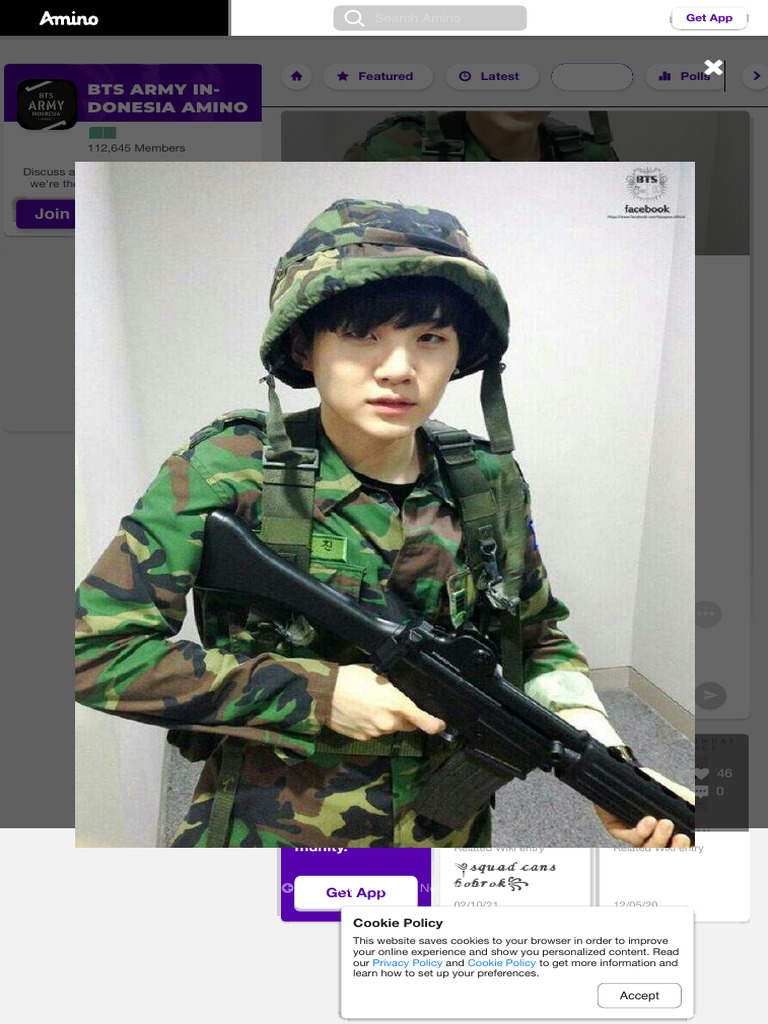 BTS Army Indonesia News | PDF | Social Information Processing | Self Organization