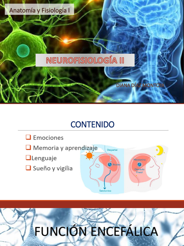 Neurofisiología Ii | PDF | Memoria | Las emociones