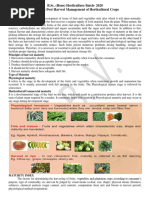 Crop Maturity Indices in Agriculture | PDF | Vegetables | Fruit