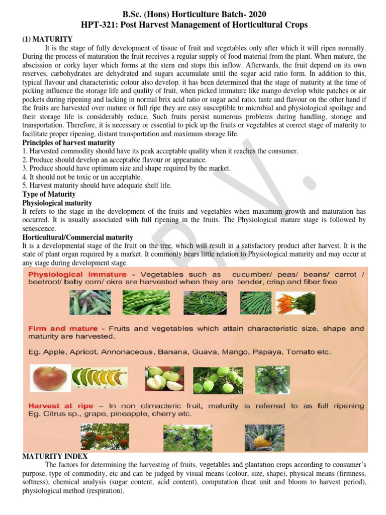 2 Maturity indices, harvesting, | PDF | Vegetables | Fruit