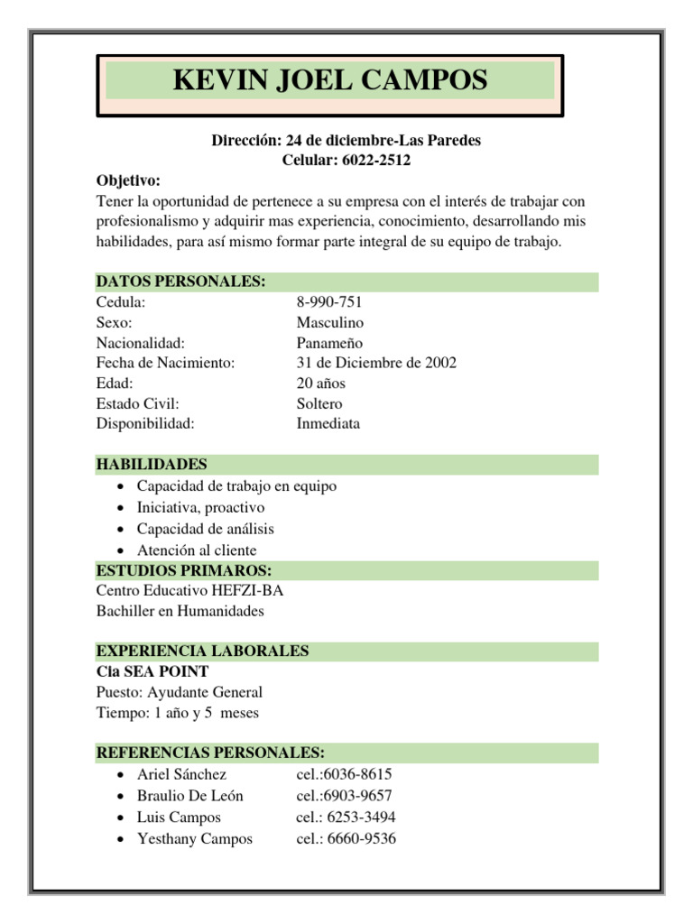 Curriculum KEVIN CAMPOS | PDF