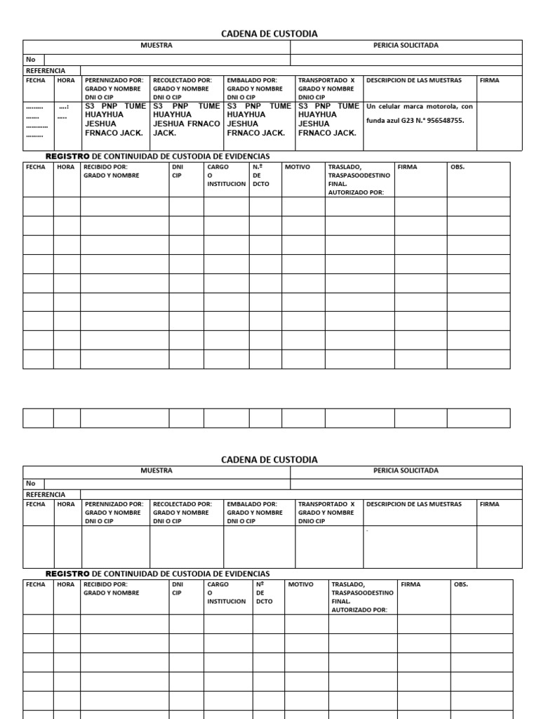 Formato A6 Y A7 Cadena De Custodia Descargar Gratis Pdf Evidencia