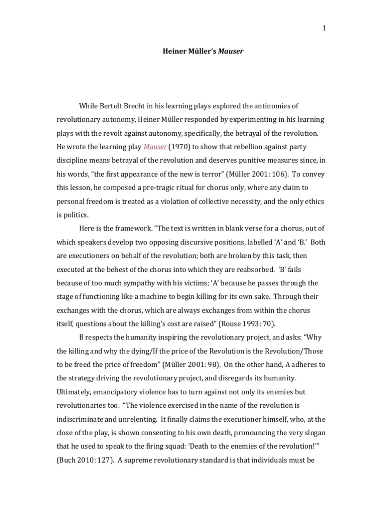 Mauser Mission | PDF | Politics | Social Science