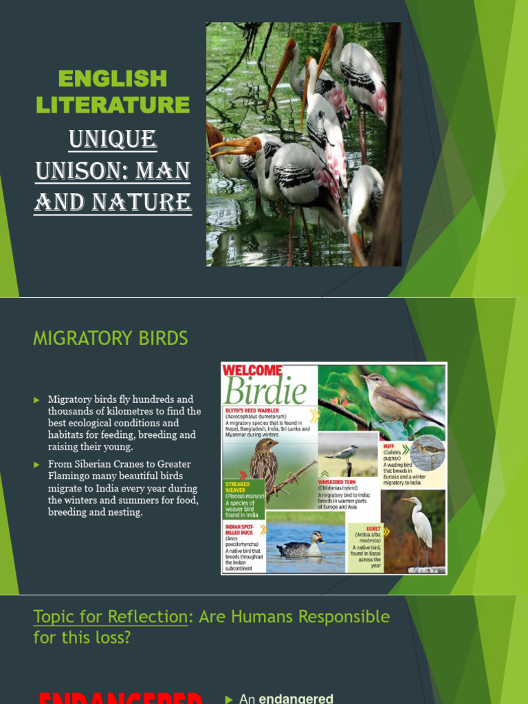 Unique Unison | PDF | Science & Mathematics