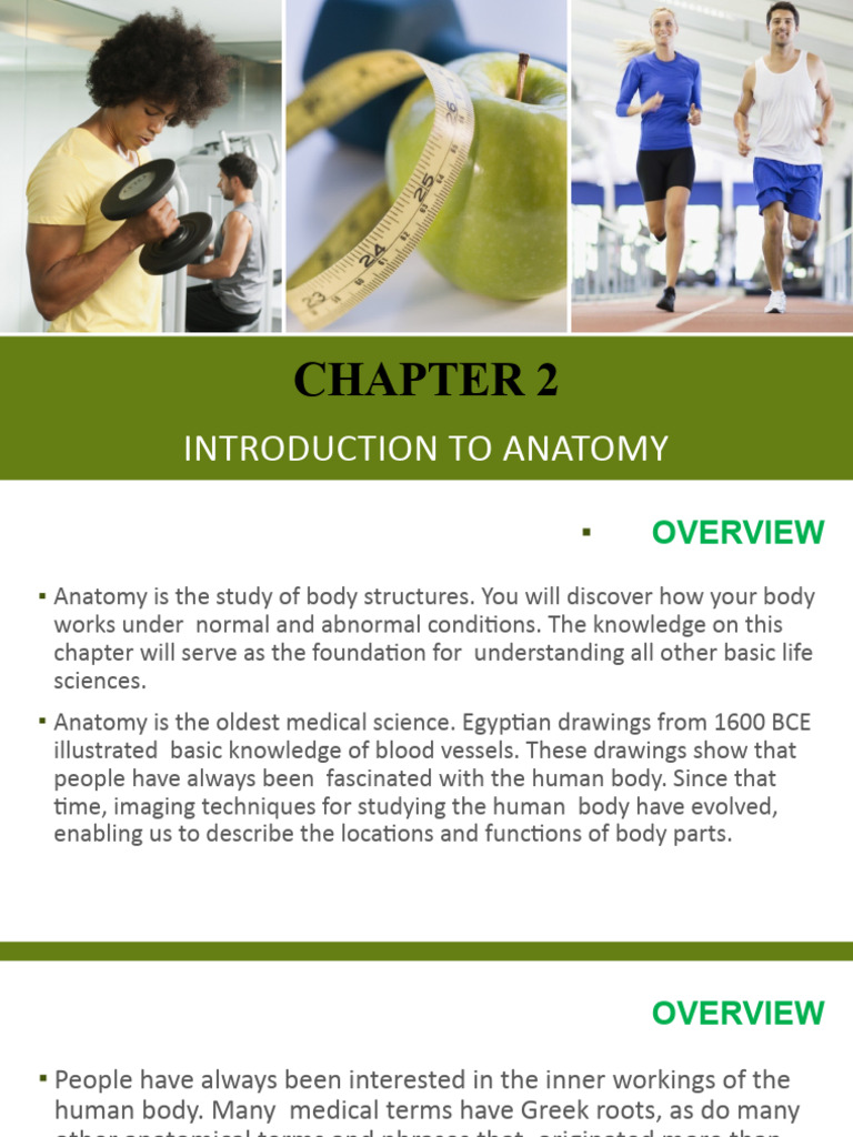 Pathfit 1 Chapter 2 Introduction To Anatomy | PDF | Skeleton | Bone