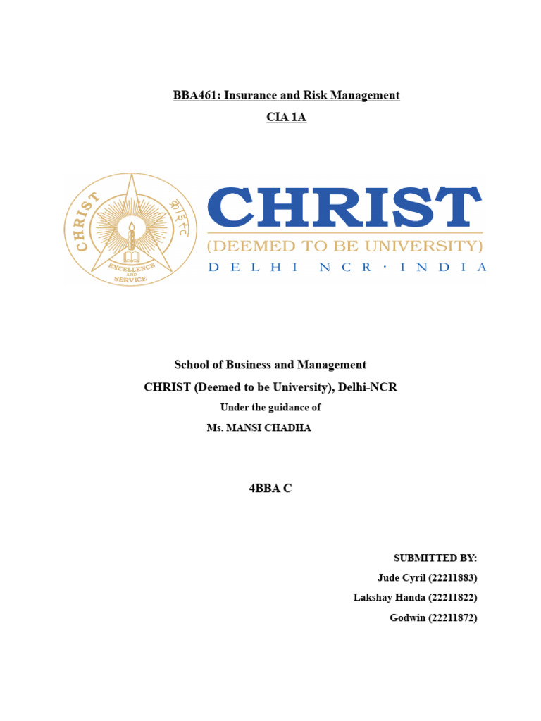 Insurance And Risk Management Pdf Risk Financial Risk