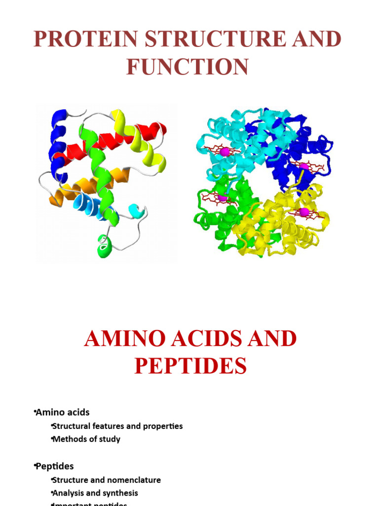 Protein Structure and Function | PDF | Amino Acid | Proteins
