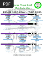 Regras e Faixas do Jiu-Jitsu IBJJF | PDF