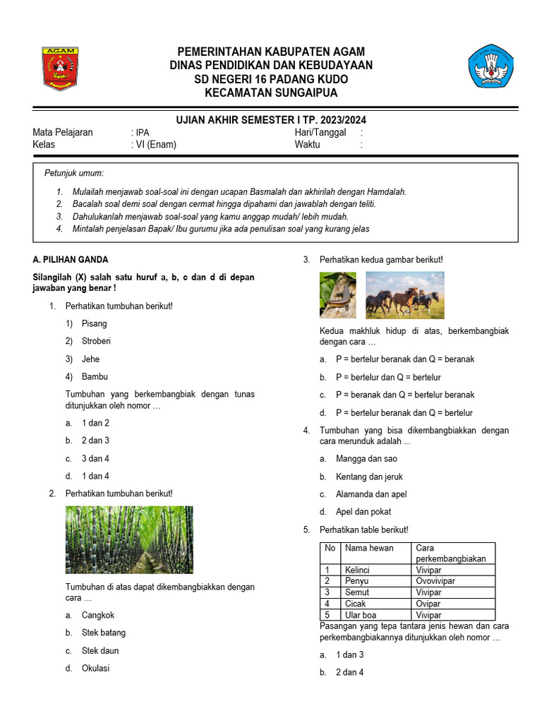 Ipa - Uas Smt1 Kelas 6 | PDF