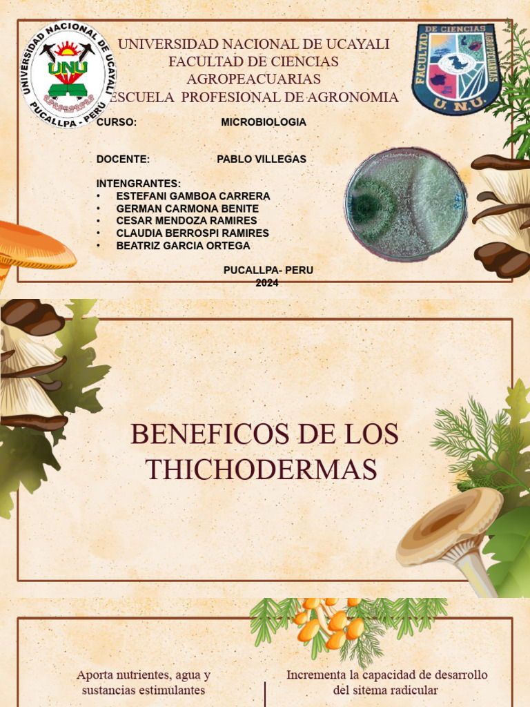 German PDF de UNU | PDF | Naturaleza | Botánica