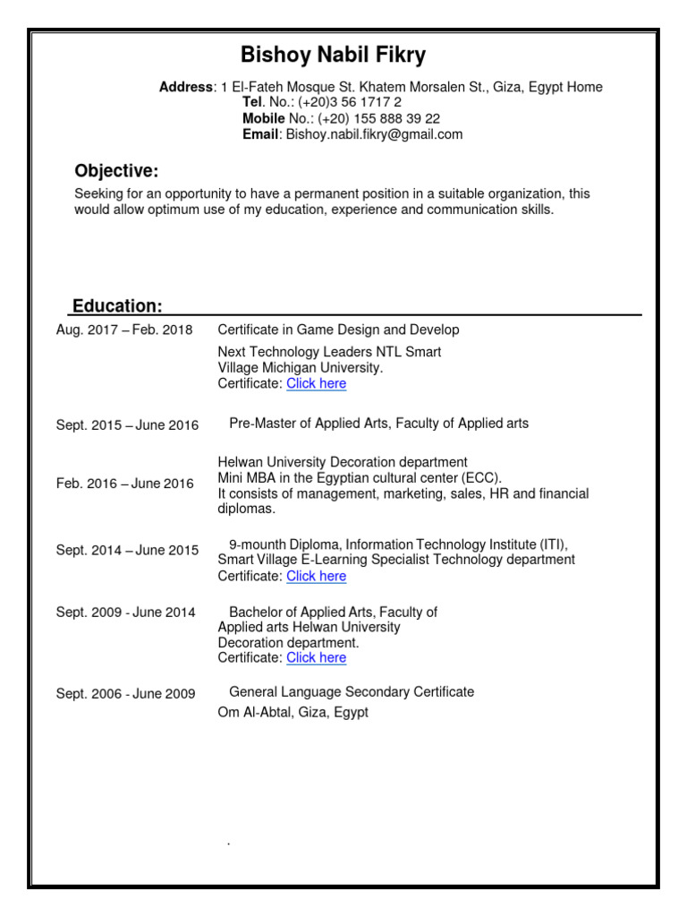 Bishoy Fikry CV 3 | PDF | Computing