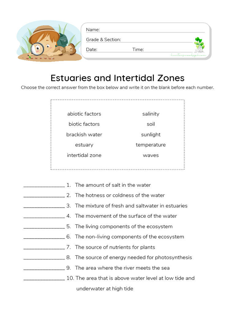 Estuaries and Intertidal Zones Worksheet 2 Grade 5 HuntersWoodsPH | PDF
