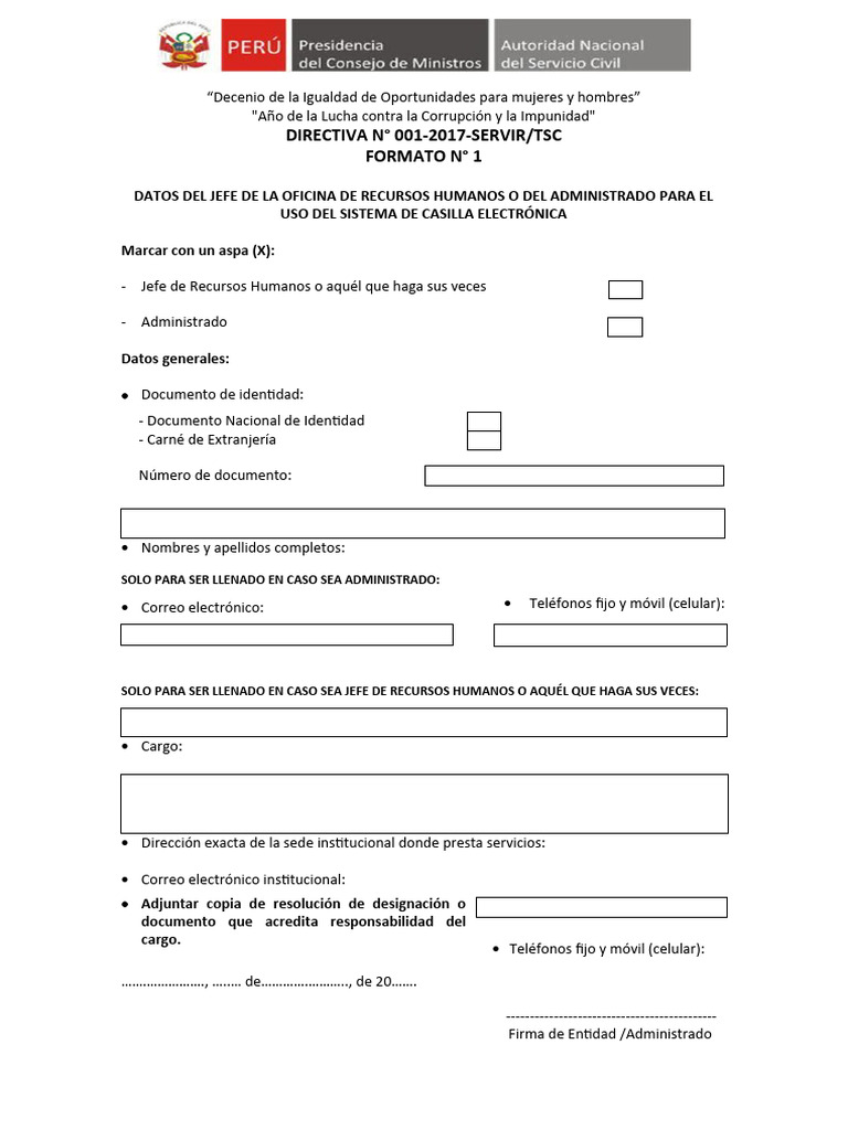 Formato N°1 para Llenar | PDF