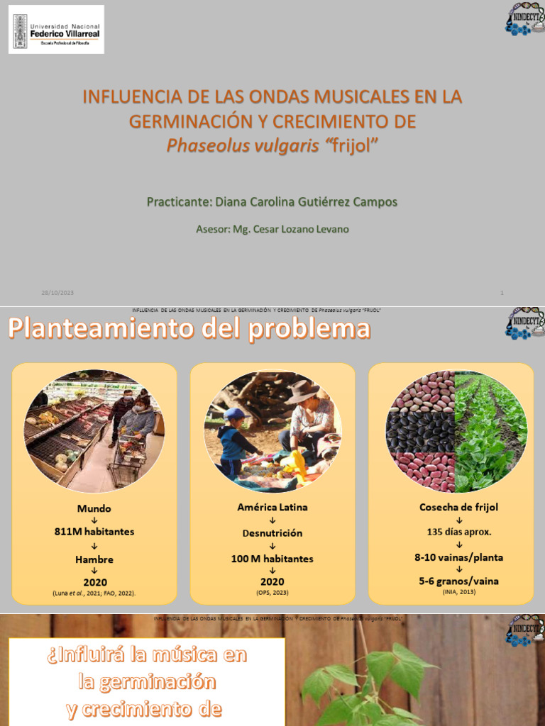 Plantas + Musica | PDF | Frecuencia | Oscilación