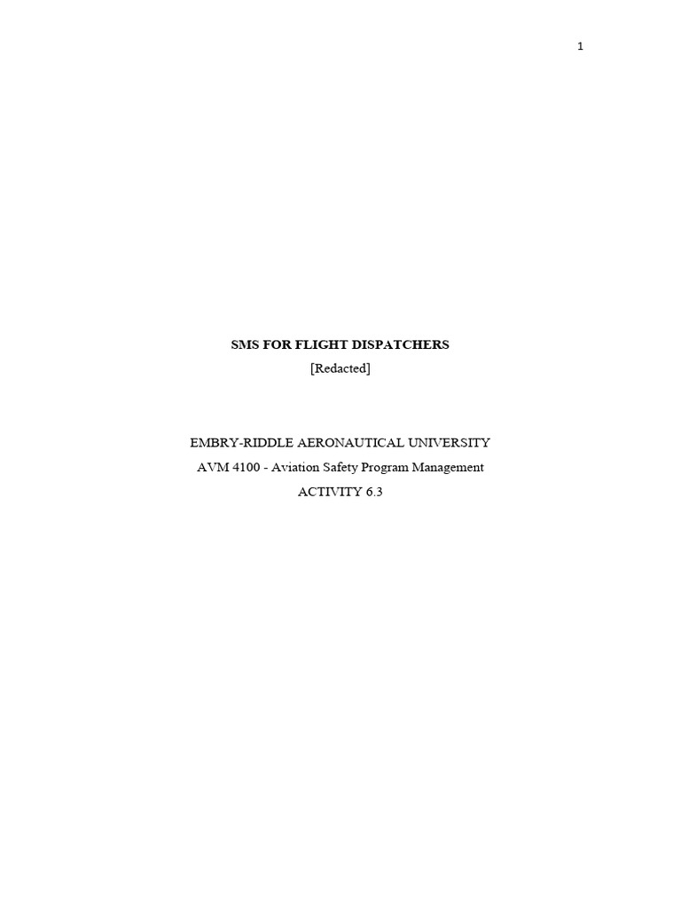 AVM 4100 Final Research Paper Example | PDF | Safety | Risk