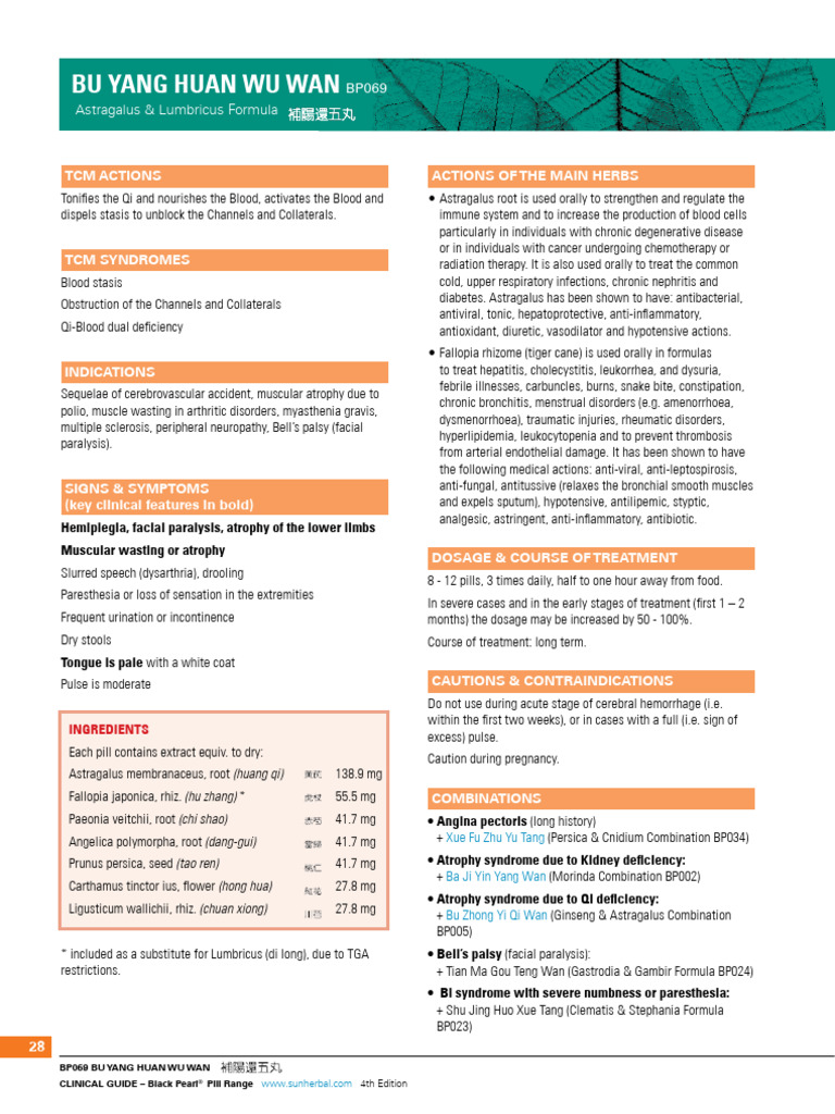 Bu Yang Huan Wu | PDF | Stroke | Human Diseases And Disorders