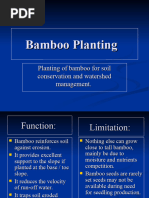 Essential Bamboo Lashing Techniques | PDF | Bamboo | Knot