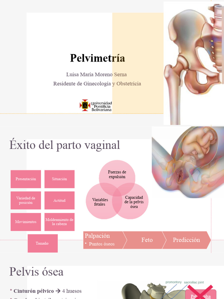 Pelvimetría | PDF | Pelvis | Sistema musculoesquelético