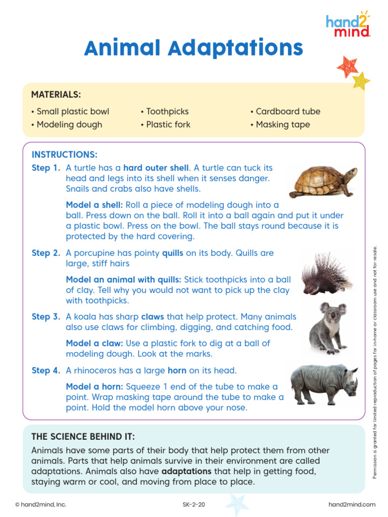 Grade K 2 Science Animal Adaptations | PDF
