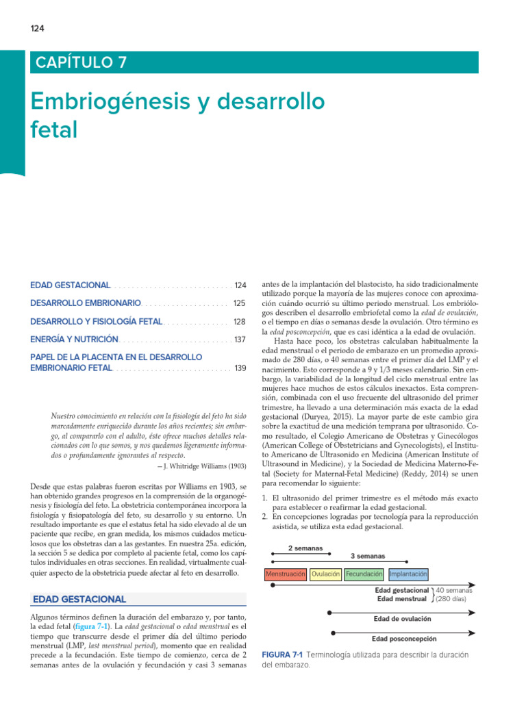 Embriogenesis y Desarrollo Fetal | Descargar gratis PDF | Feto | Vena