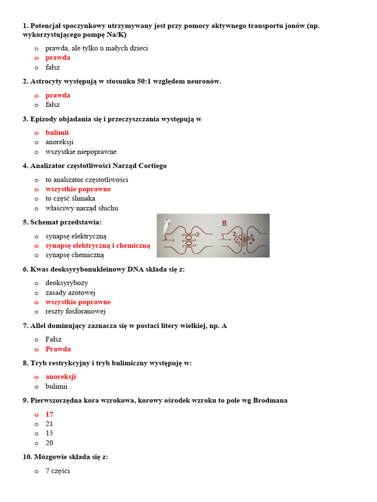 BPZ Egzamin | PDF