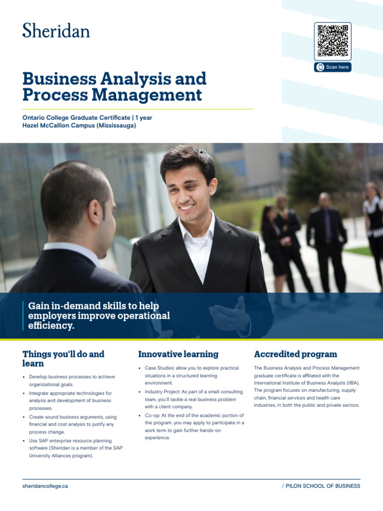 Business Analysis Process Management en | PDF