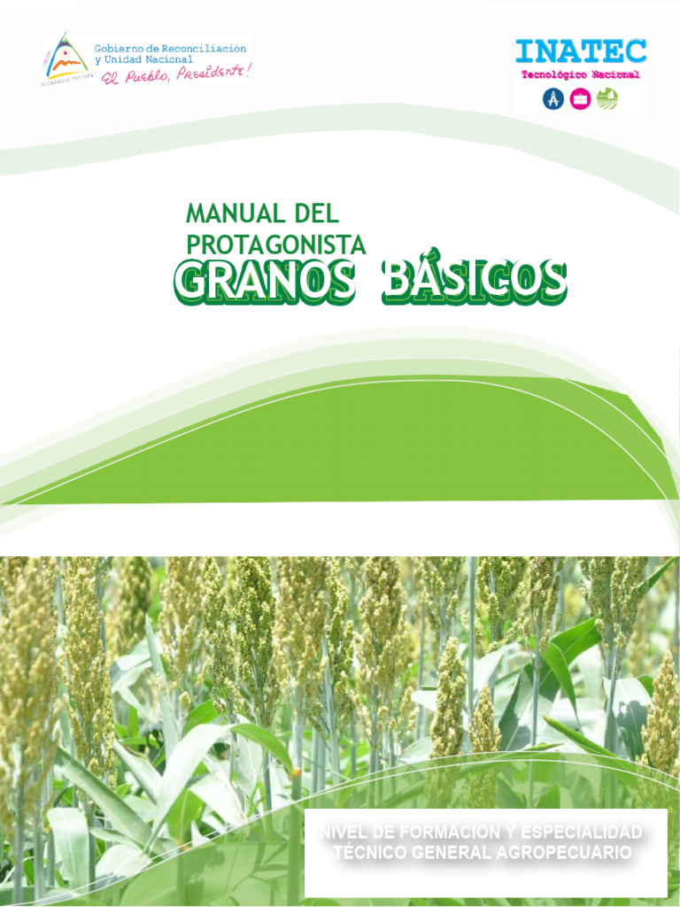 Granos - Basicos INATEC | Descargar gratis PDF | Maíz | Arado