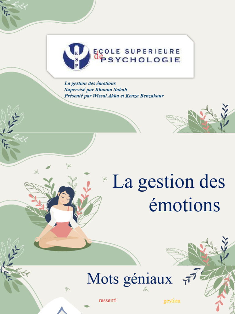 La Gestion Des Emotions | PDF