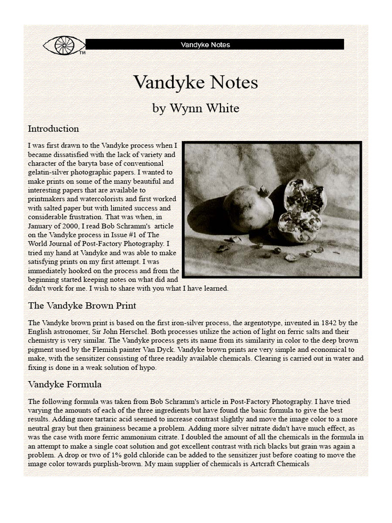 Vandyke Printing Notes | PDF
