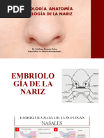 Nariz y Senos Paranasales | PDF | Nariz humana | Rinología