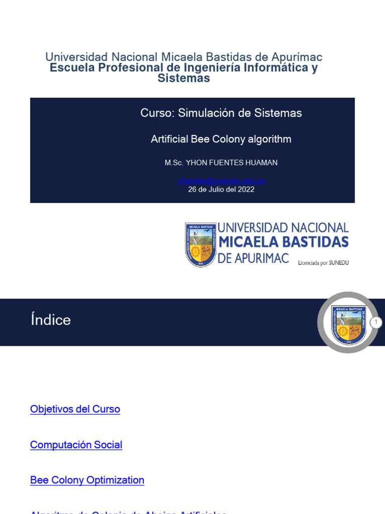 SIS_2022_UNAMBADEFINICION_ABC | PDF | Informática | Ciencias de la Computación