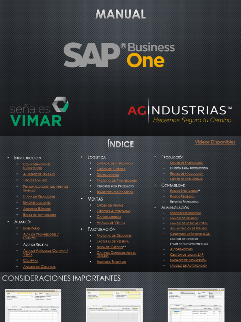 Manual SAP | PDF | Negocios