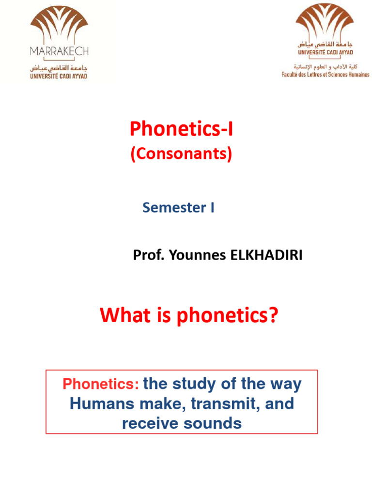 Phonetics-I | PDF | Phonetics | Respiratory System