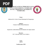 Visita Al Rastro | PDF | Carne | Matadero