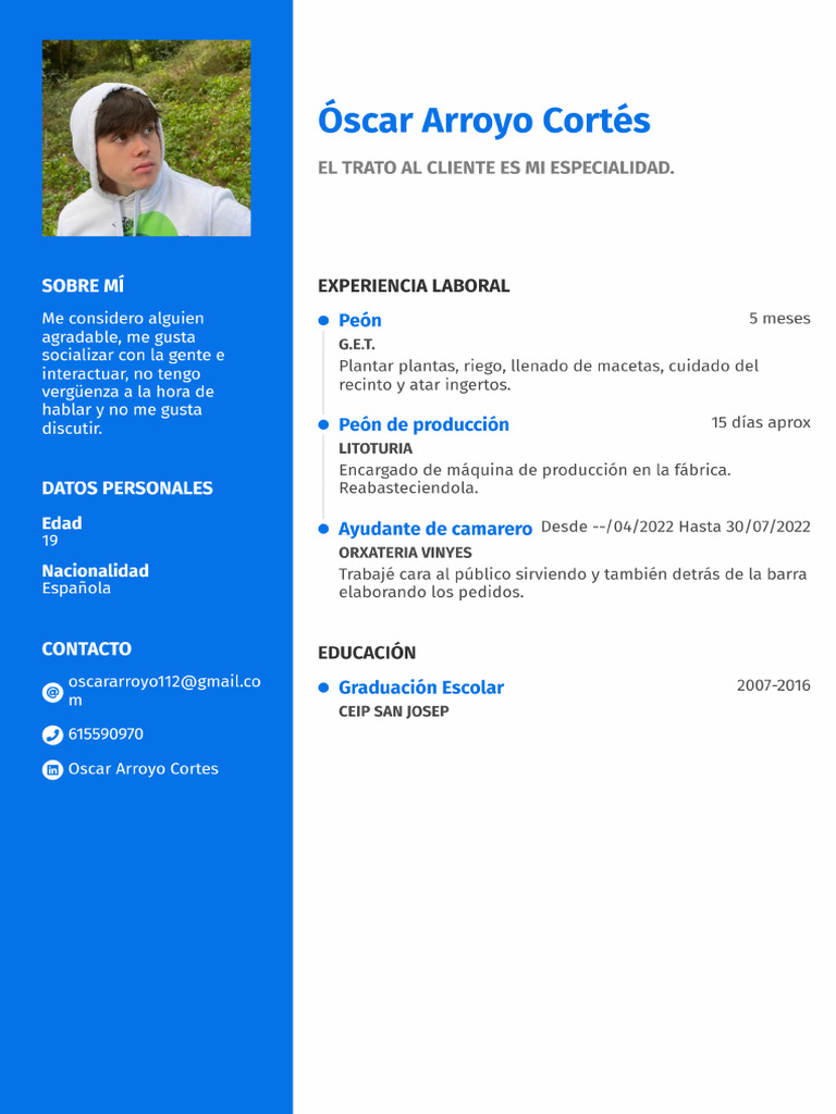 Currículum Oscar | PDF