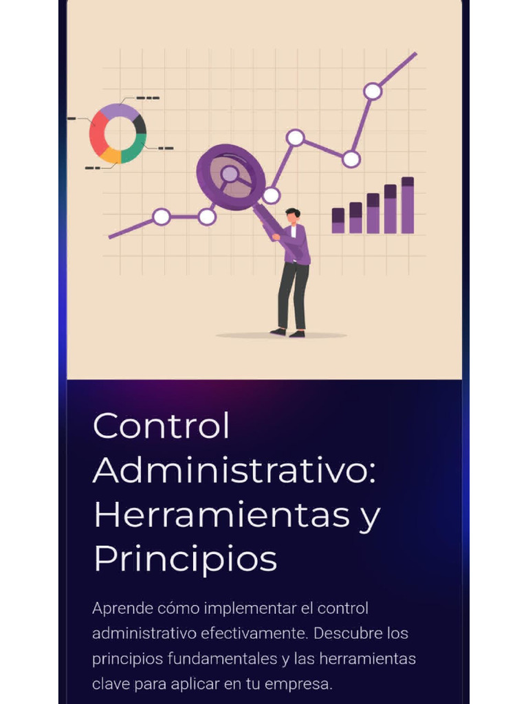 Principios y Herramientas de Control Administrativ | PDF
