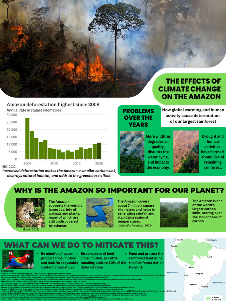 Enviro Sci Poster | Download Free PDF | Amazon Rainforest | Deforestation