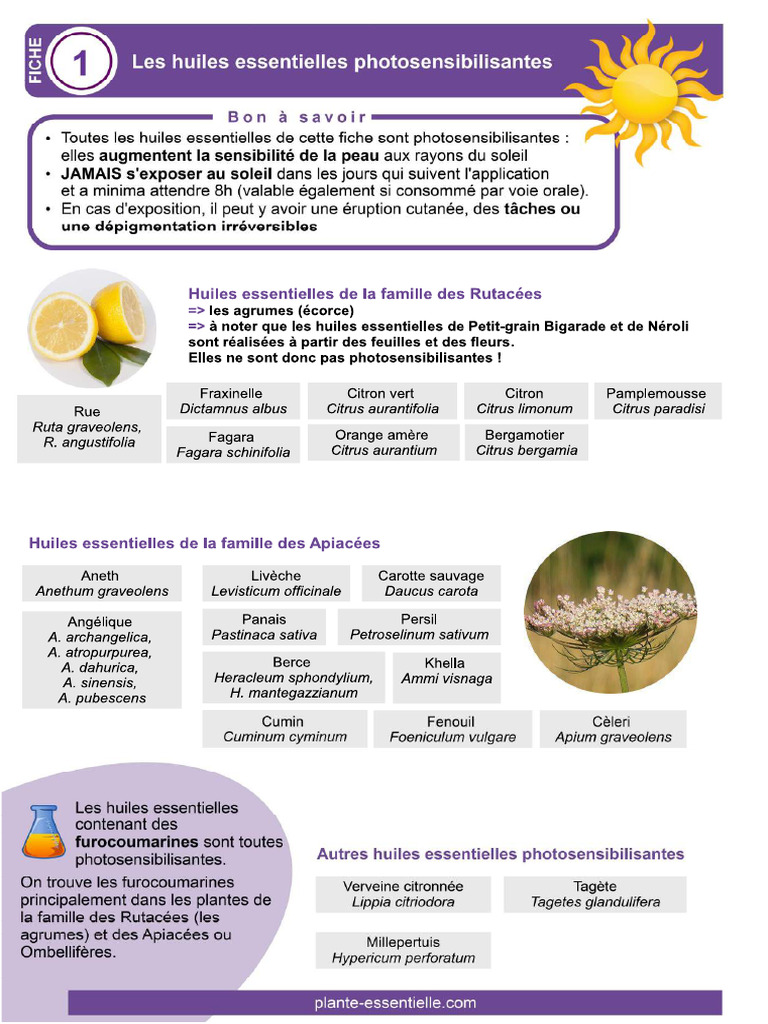 Fiches Plante Essentielle | PDF