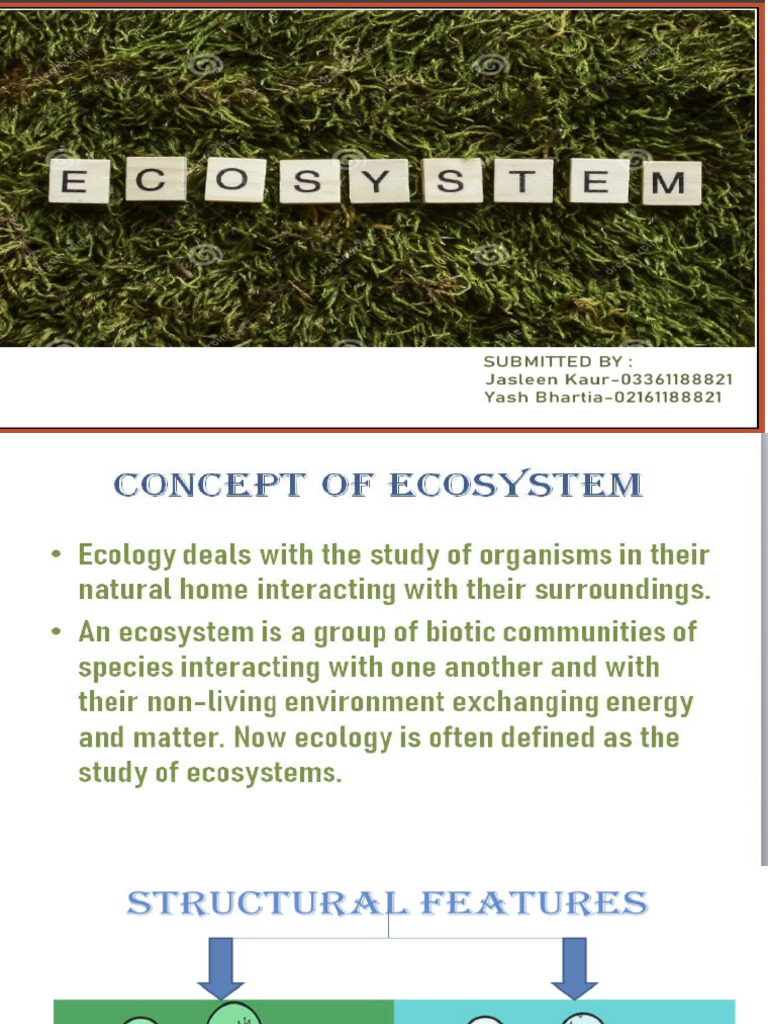 Ecosystem | PDF