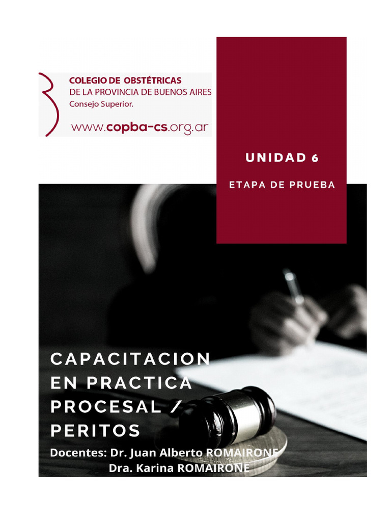 UNIDAD 6 -ETAPA DE PRUEBA | PDF | Evidencia (ley) | Ley procesal