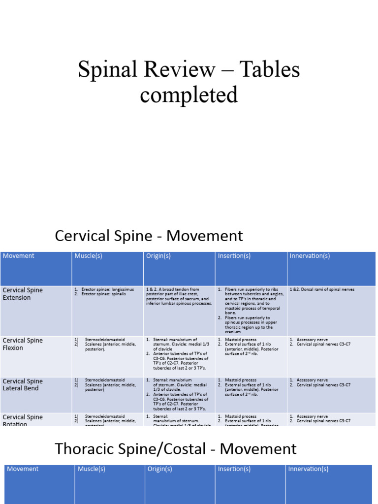 Spinal Test Review - Tables Completed | PDF | Vertebra | Vertebral Column