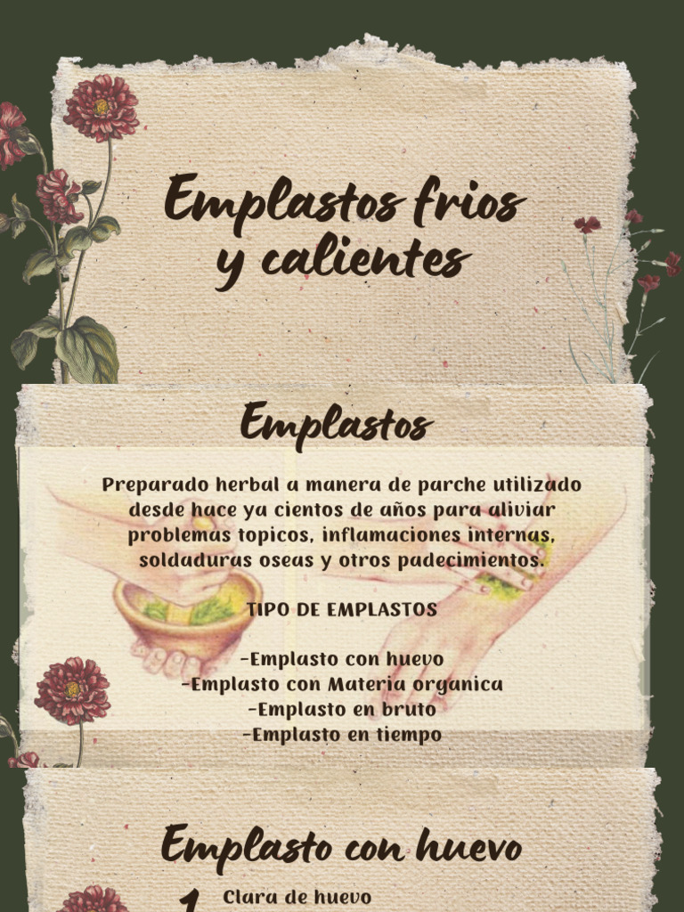Tipos y usos de emplastos medicinales | PDF | Hogar, jardinería y ...