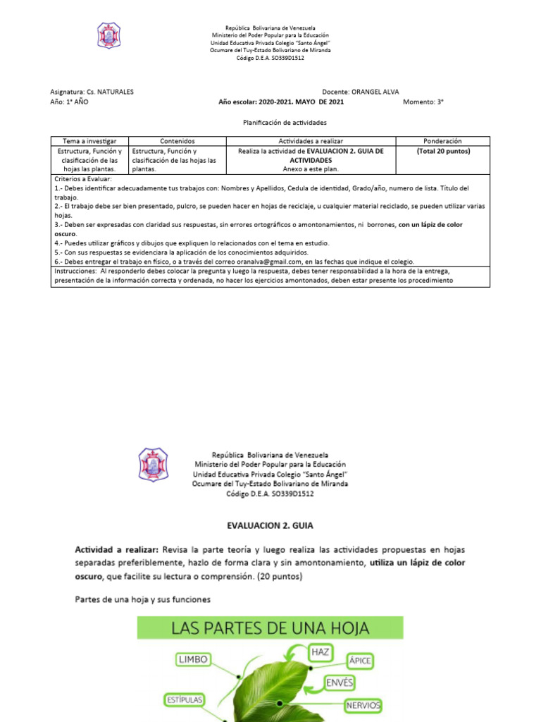 Cs. Naturales | PDF